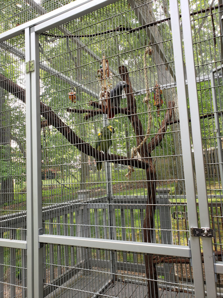 Building the Aviary Tree