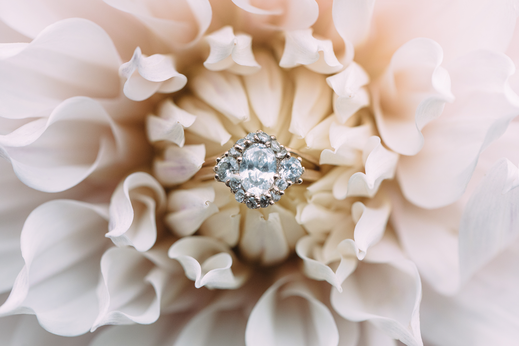 WEDDINGS | vaguephotography