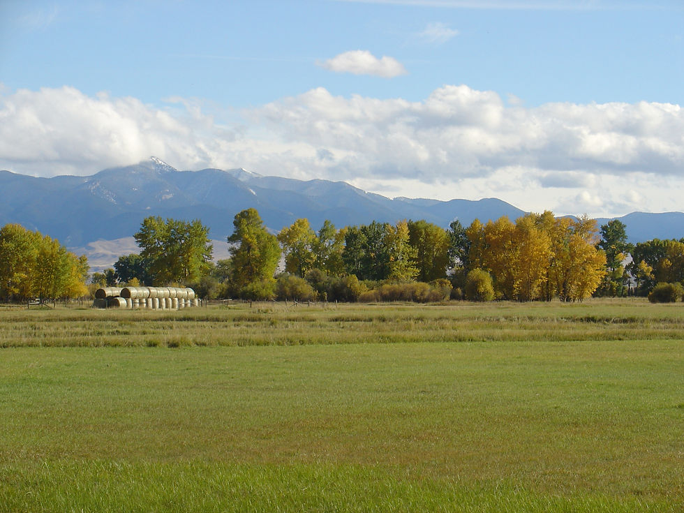 Business Resources | Ruby Valley Chamber of Commerce & Agriculture ...