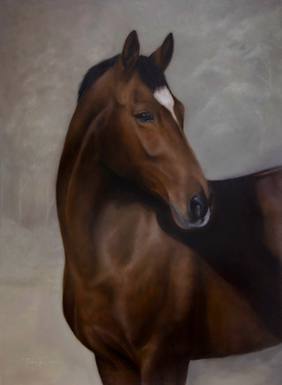 Select Works | Piper Talladay | Equine Portraiture