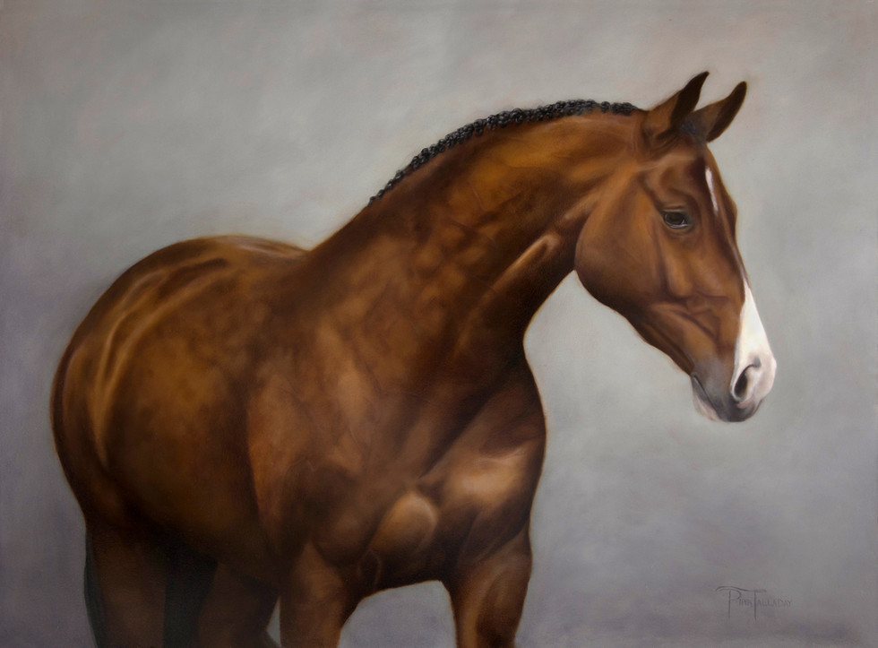 Select Works | Piper Talladay | Equine Portraiture