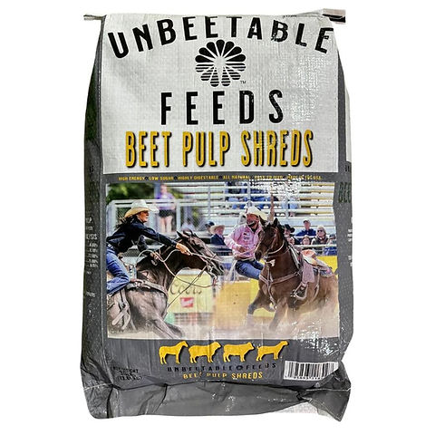 beet pulp sheep