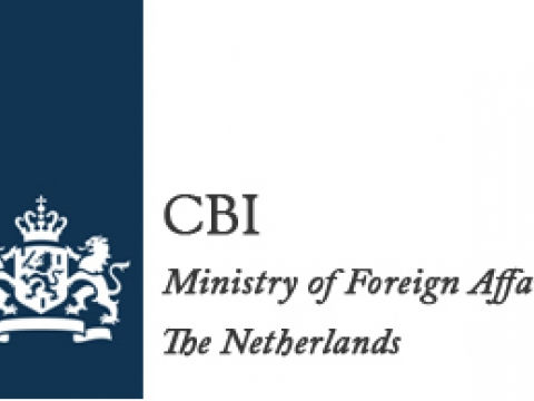 Networking lunch at the Ministry of Foreign Affairs of the Netherlands