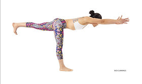 lotus flower exercise