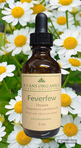 Feverfew Tincture - 2 oz | Evans organics