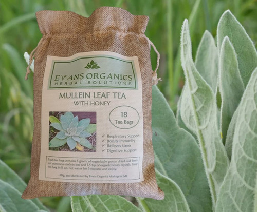 Mullein Tea for COPD and Lung Health | Evans organics