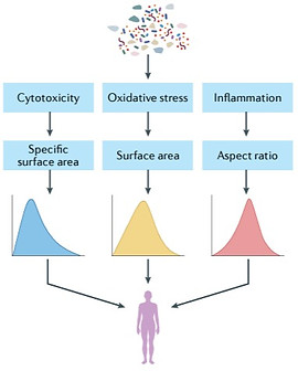 Projects | Microplastic and Nanoplastic