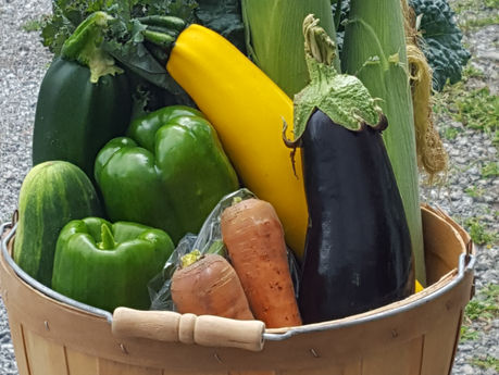 Kimstead News | Kimstead Farm