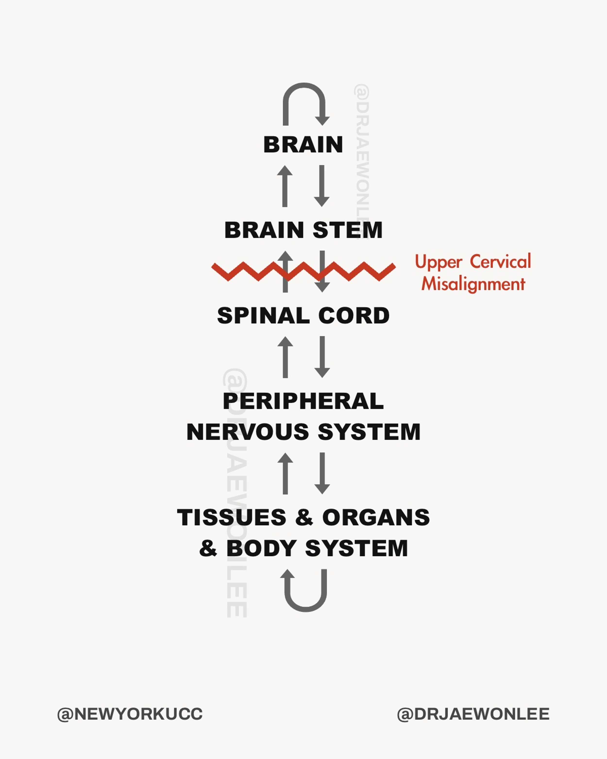 Upper Cervical Misalignment And Brain Body Communication