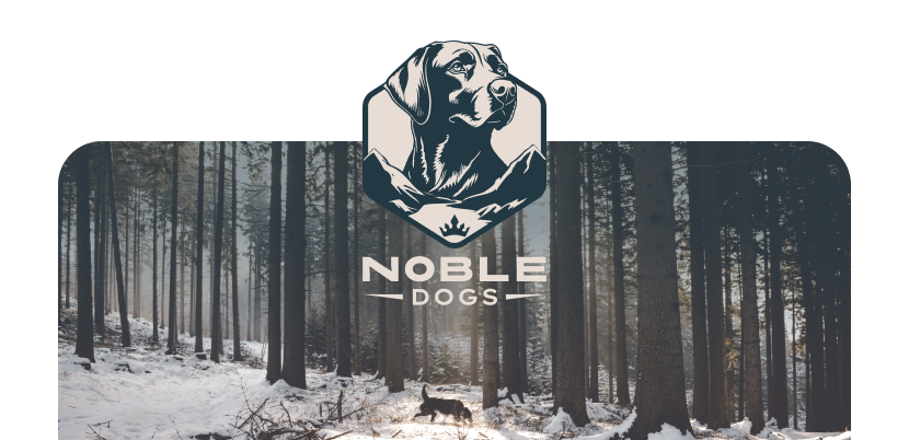 Utah's Best Dog Training | Noble Dogs | Serving Utah and Nevada