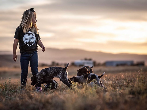 Utah's Best Dog Training | Noble Dogs | Serving Utah and Nevada