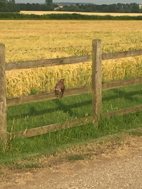 Rural Meeting Venue | Edworth Manor