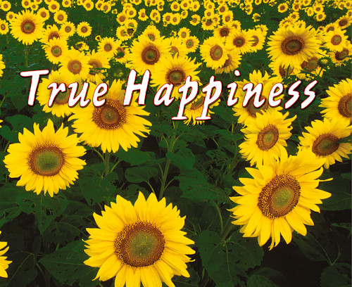 True Happiness | Frances Hogan
