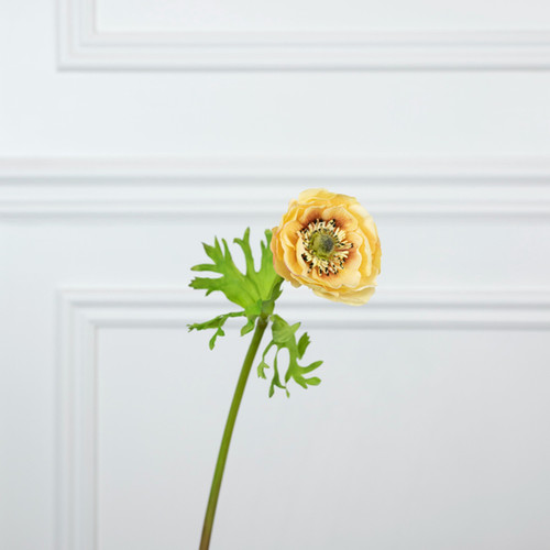 Amy Poppy in Yellow (organic touch) | Eleven Gardens