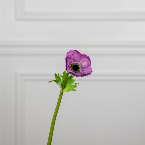 Amy poppy in Purple (organic touch) | Eleven Gardens