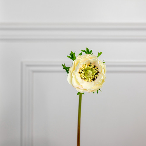 Amy Poppy in Cream (organic touch) | Eleven Gardens