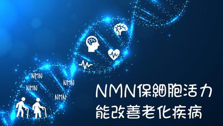 NMN十大效果
