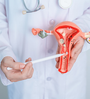 OUR SERVICES | North Shoebury