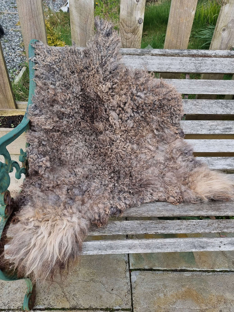 Felted Wool Collars | Western Isles Designs | Isle of Lewis