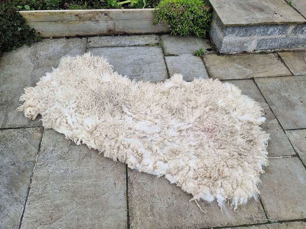 Felted Wool Collars | Western Isles Designs | Isle of Lewis