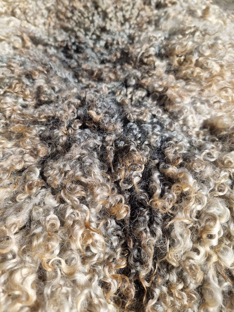 Felted Wool Collars | Western Isles Designs | Isle of Lewis