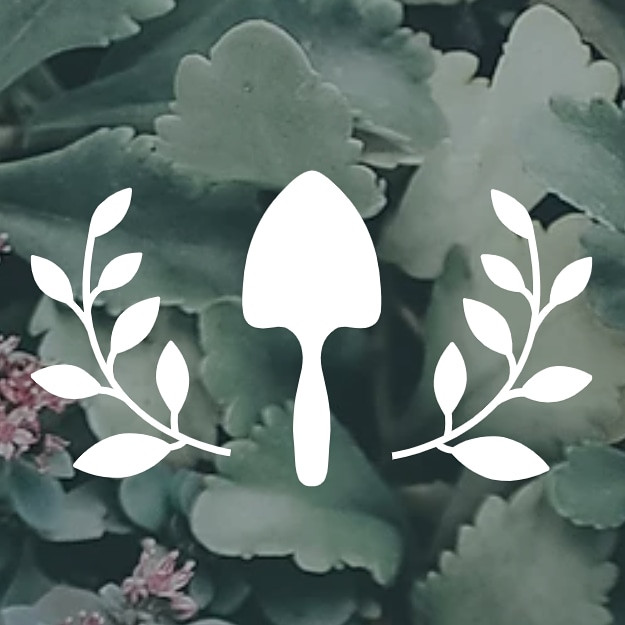 Tienda | mis plantas