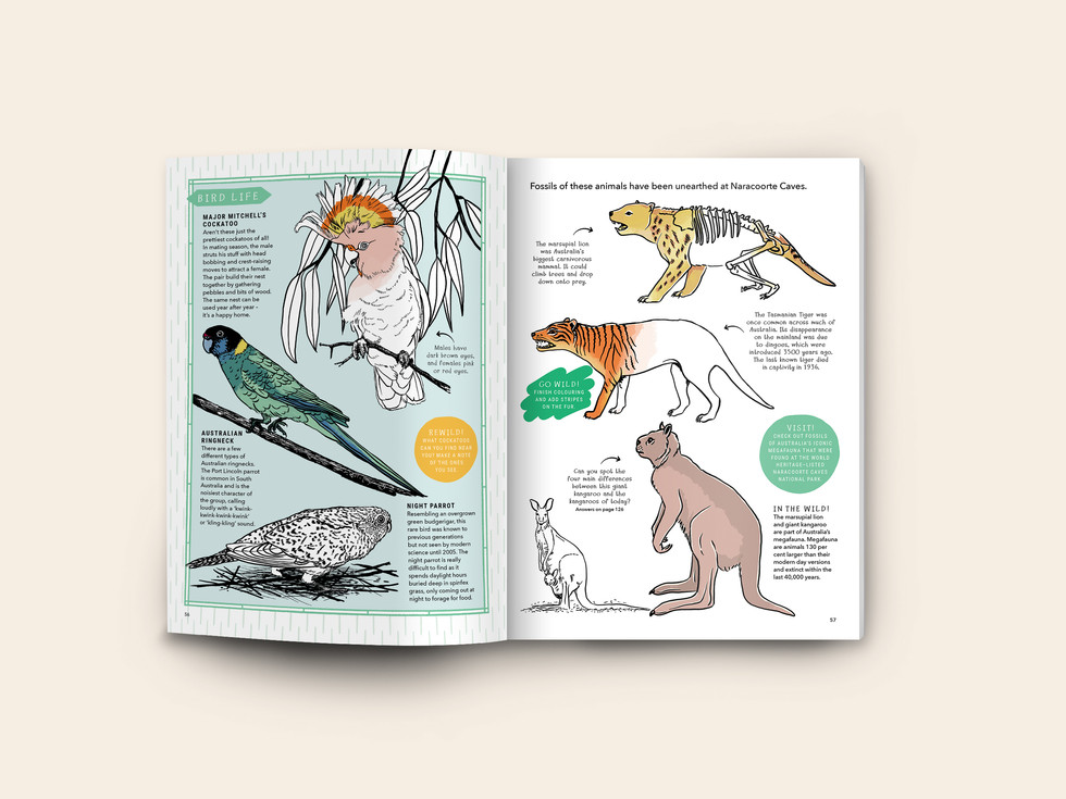 Rewilding Kids Australia | Rewilding Life