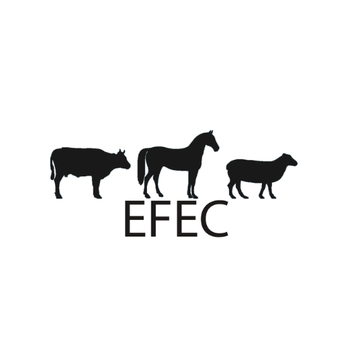 Home | EFEC Nutrition