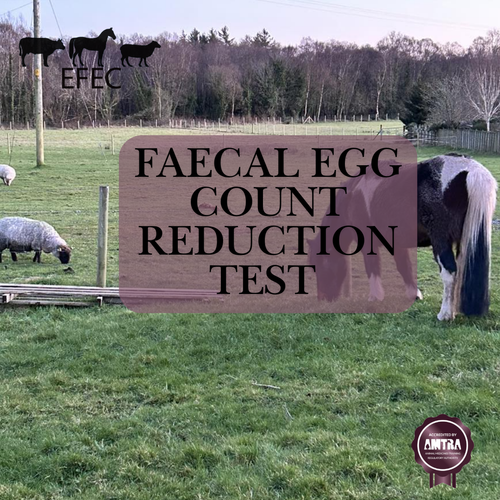 Faecal Egg Count Reduction Test | EFEC Nutrition