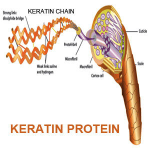 Keratin or Rebonding? Whats the difference? @Style by Louis & Co.