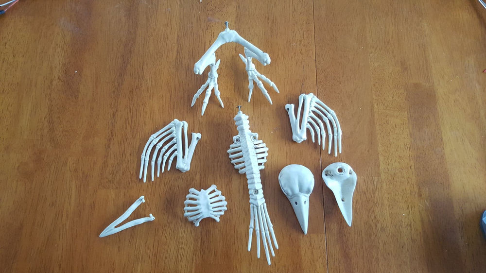 Fan Builds Animatronic Skeleton Bird