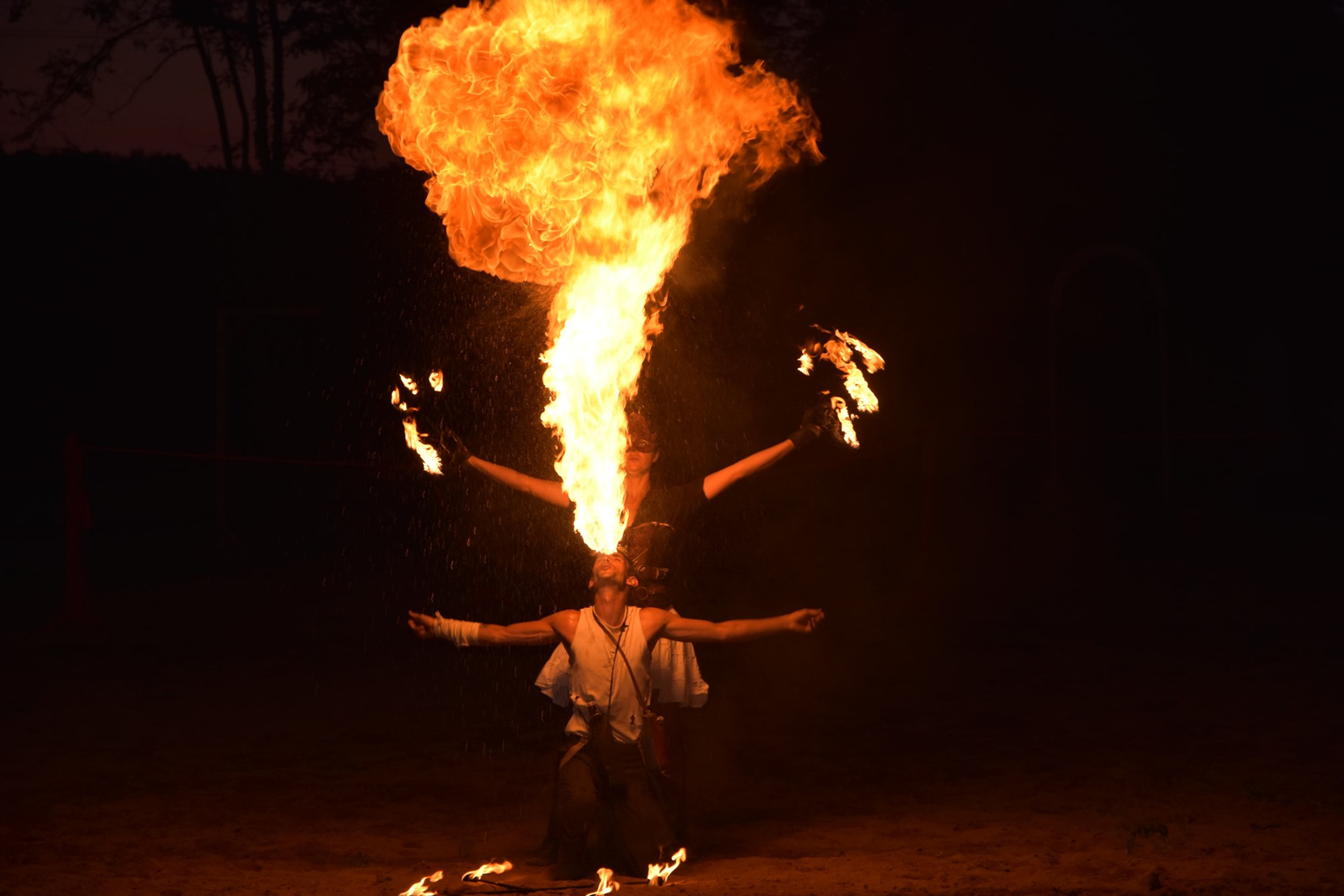 Actualités | Arion Horse Show