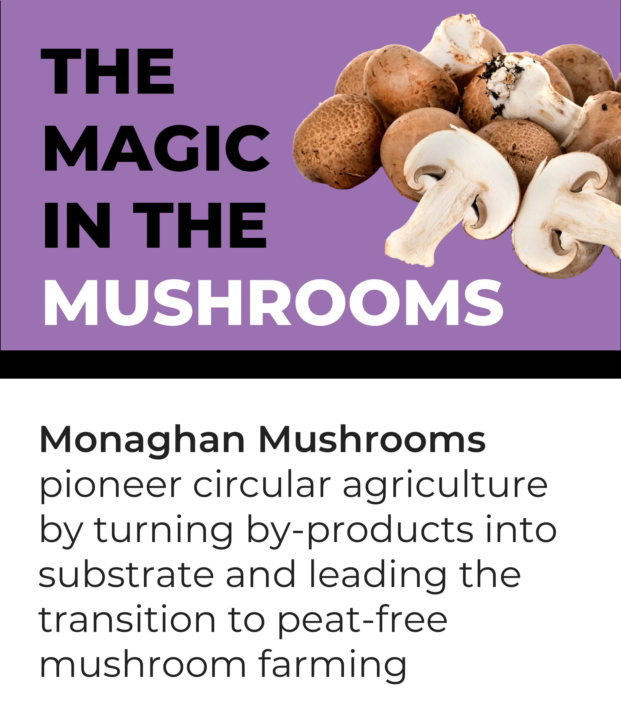 Monaghan Mushrooms