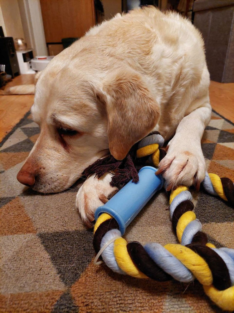 So many things to do today