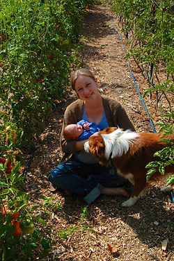 Organic Delivery | Creston | Cartwheel Farm