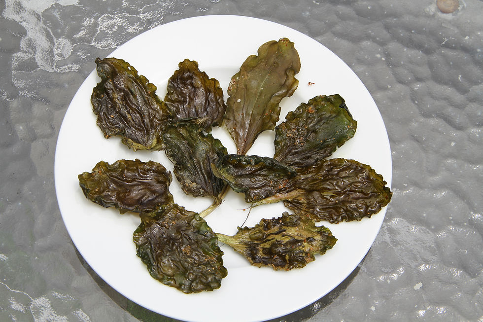 KOPAKOPA Grounding Nutrients of Papa