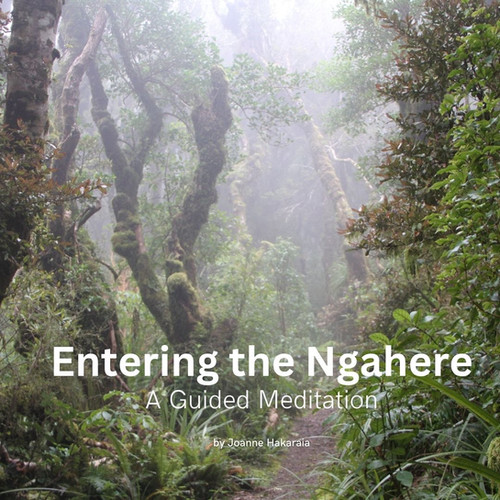 Entering the Ngahere - A Guided Meditation | Rongoā Mauri