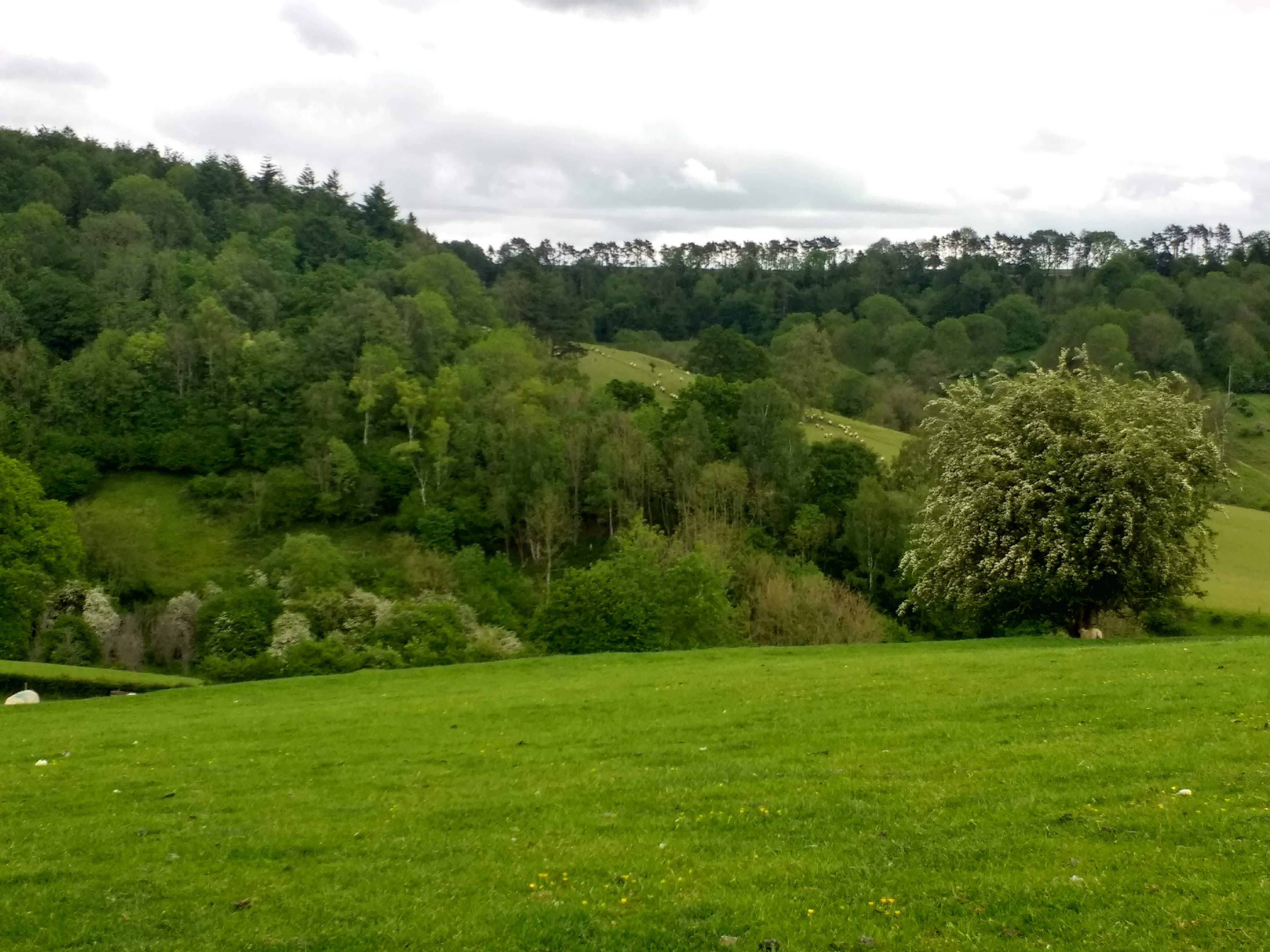 Nature Walk & Yoga in Miserden Park & Estate