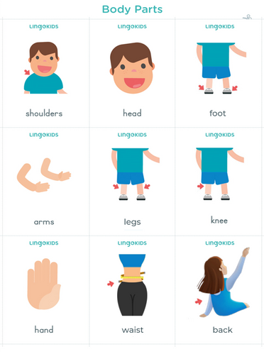 Chapter 6: Body parts | English