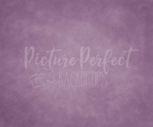 Muted purple Backdrop | Picture Perfect