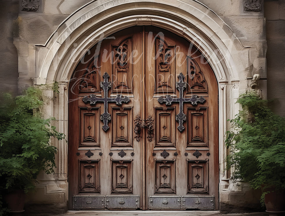 Picture Perfect Backdrops I Photography Backdrops and Props