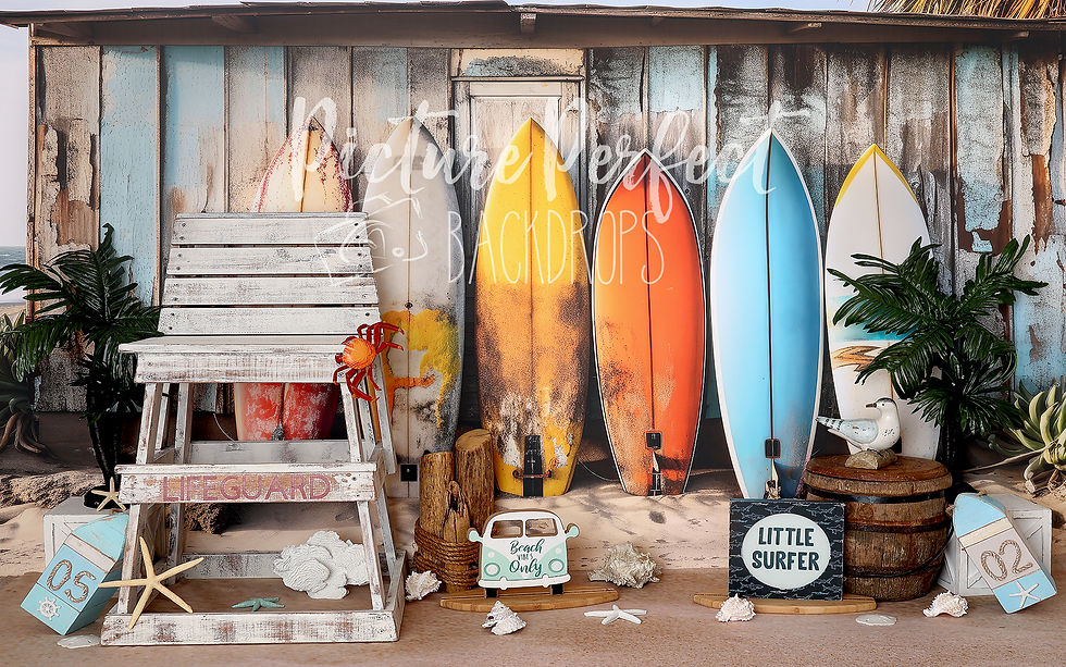 Beach Vibes with prop printed on Backdrop | Picture Perfect