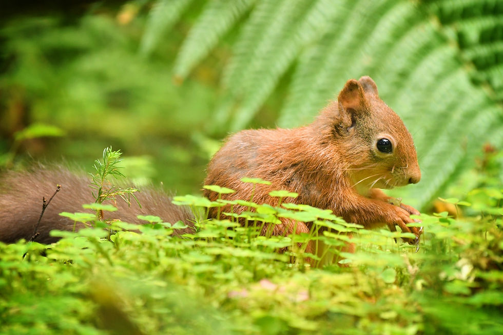 Hidden Gems | Visit Bute