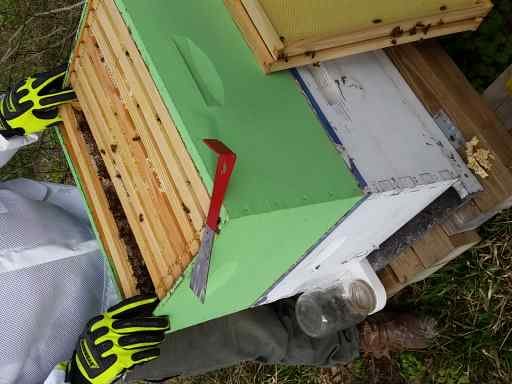 Queen Bee Supply LLC, Orange, TX, USA; Beekeeping Supplies