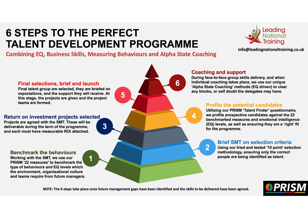 A Talent Development Programme That Works a-talent-development-programme-that-works