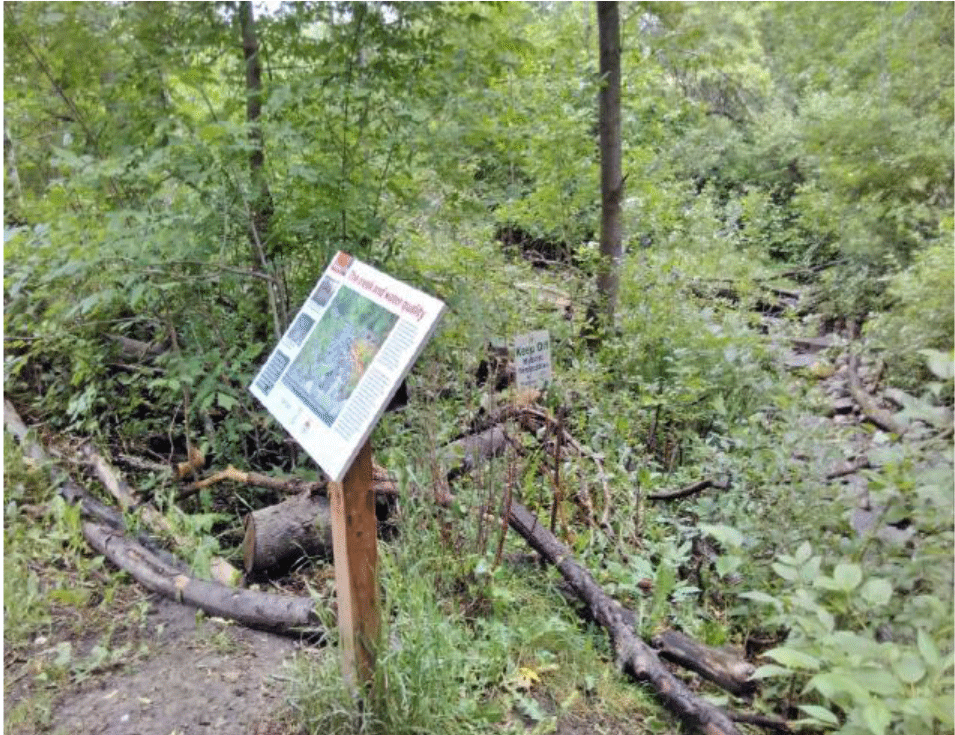Shaganappi Park Habitat Restoration