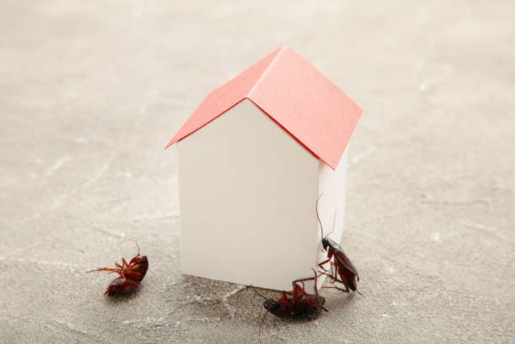Expert Pest Control Delray Beach | Southeast Florida Pest Control