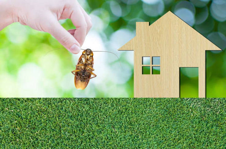 Effective Pest Control Coral Springs | Southeast Florida Pest Control