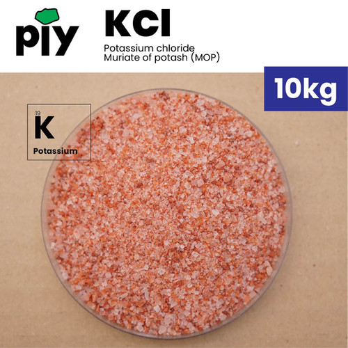 [10kg] MOP Muriate of Potash / Potassium chloride 0-0-60 | maizestar