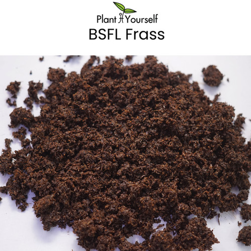 BSFL (Black Soldier Fly Larvae) Frass 黑水虻虫沙 (5kg) | maizestar